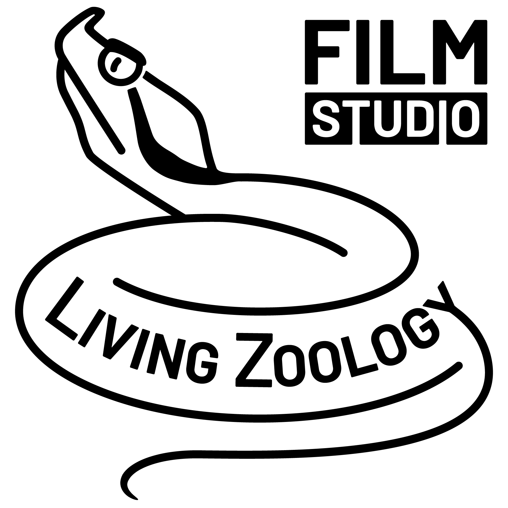 Snake.name – Snake IDentification app – Snake species identification app